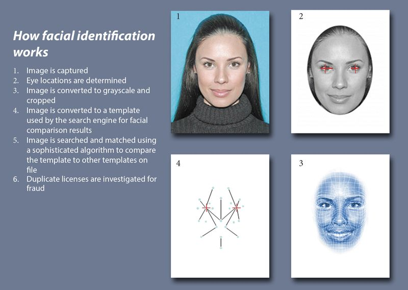 Mass Effect 1 Faces Database Zoompass Mass Effect 1 Faces Database Zoompass